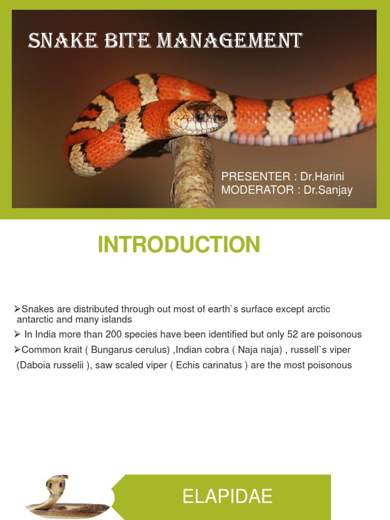 Effective Snake Bite Management Strategies | PDF | Coagulation ...