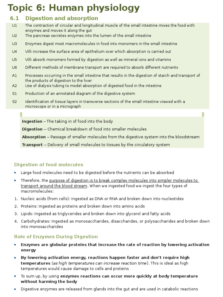 6 Human Physiology | PDF | Digestion | Heart