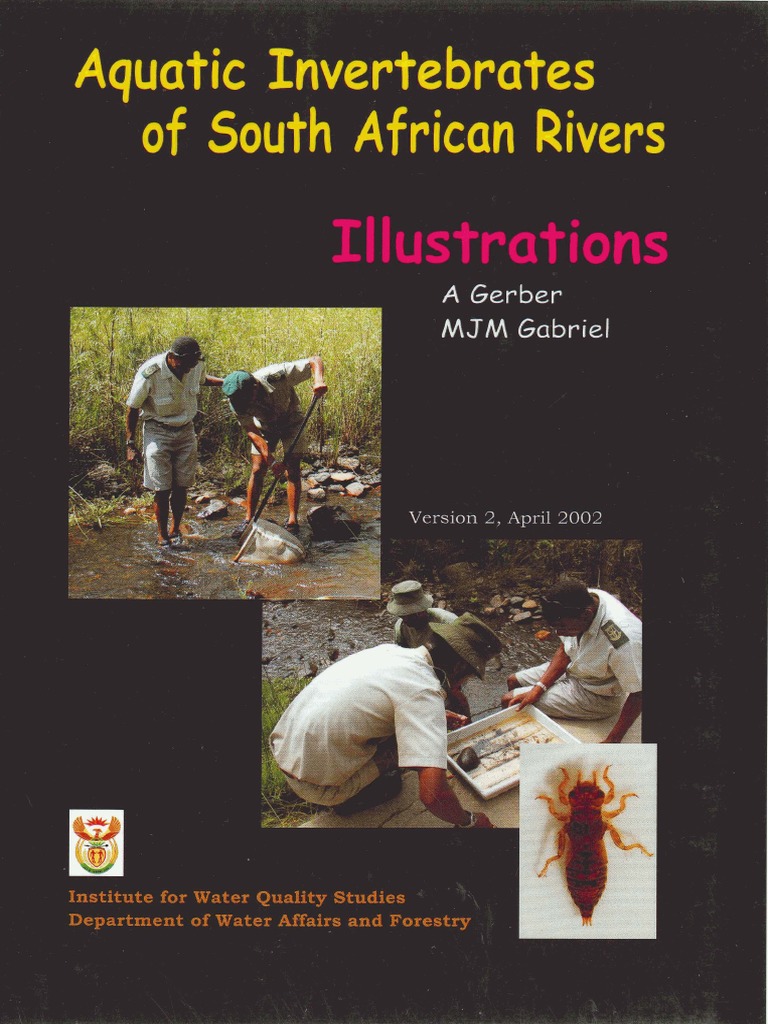 Aquatic Invertebrates of South African Rivers | PDF | Insects And ...