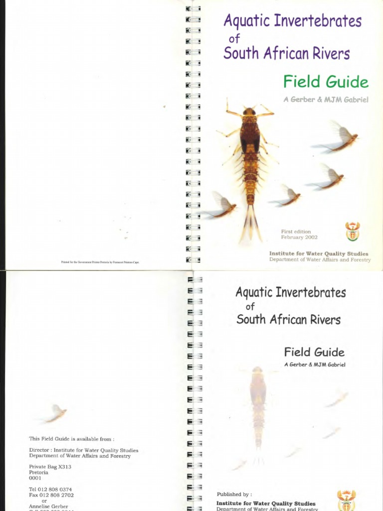 Aquatic Invertebrates of South African Rivers Field Guide | PDF | River ...