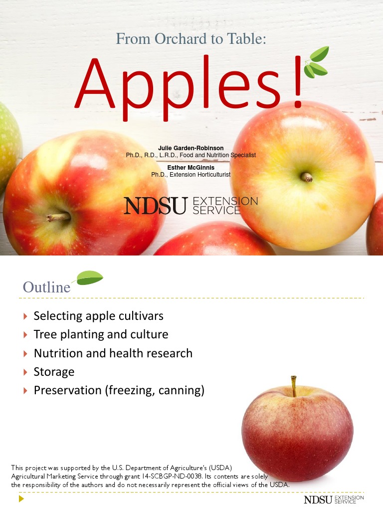 Apple Orchard To Table | PDF | Fruit Preserves | Apple