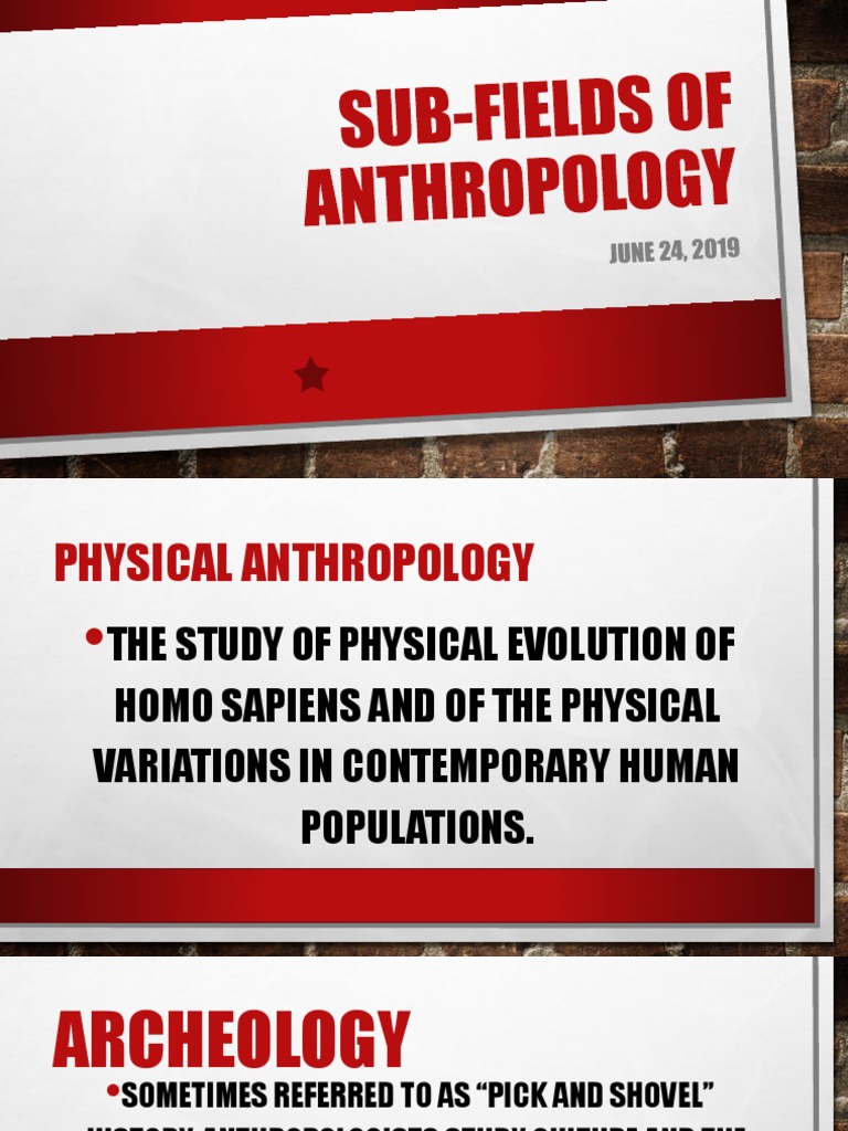 An Introduction to the Main Branches of Anthropology | PDF