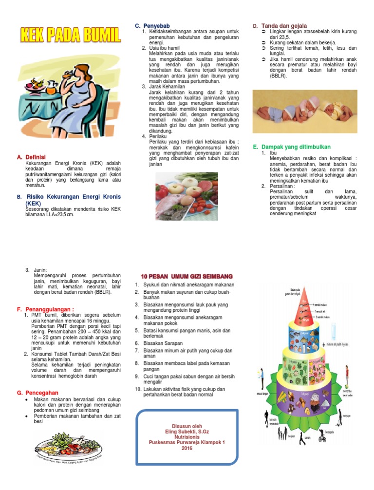 Leaflet Bumil Kek | PDF