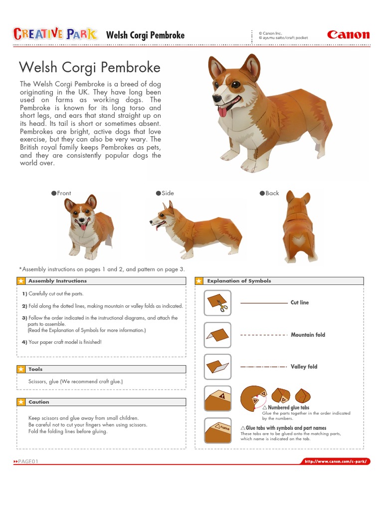 CORGI | PDF