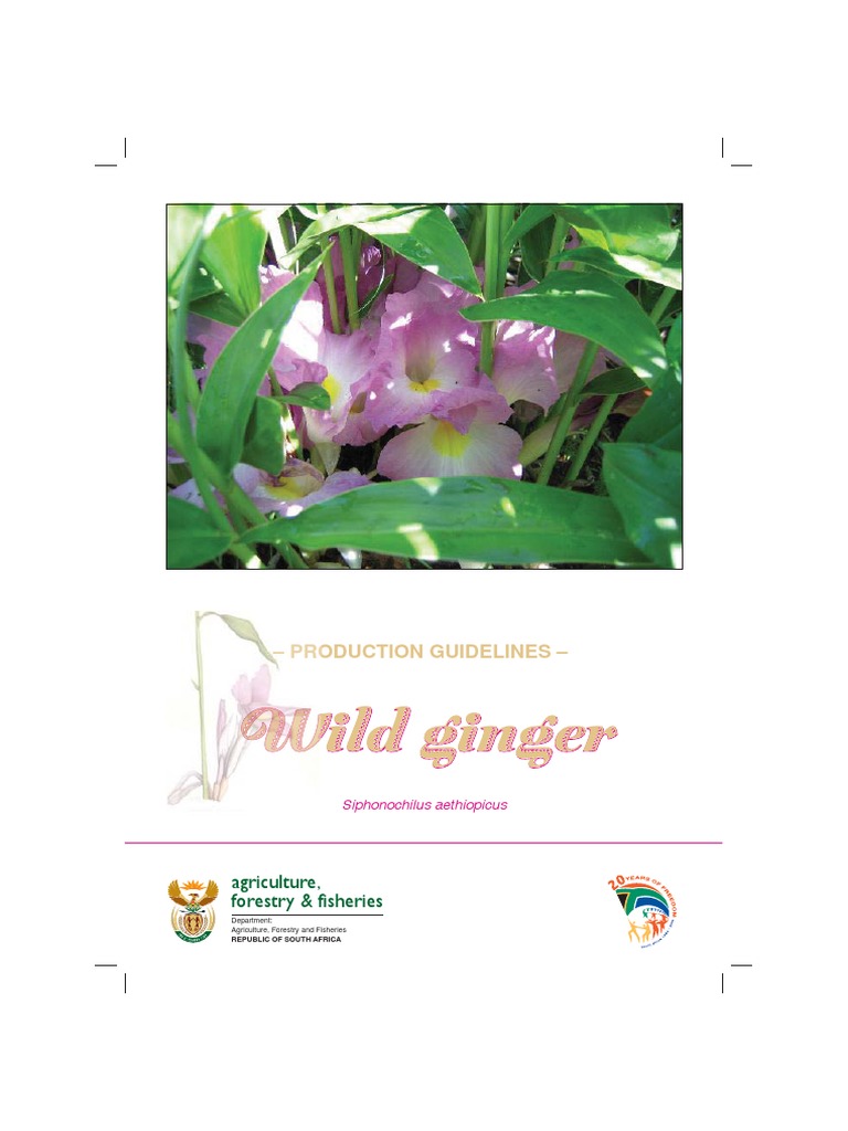 Wild Ginger Production Guideline | PDF | Ginger | Soil
