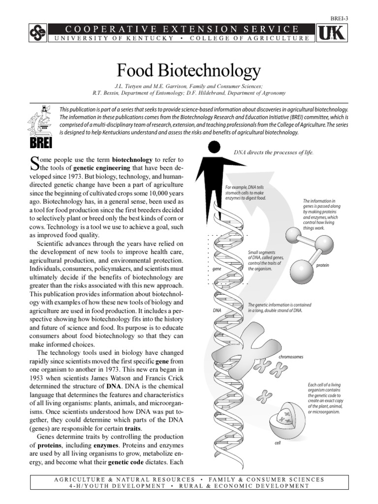Food Biotechnology | PDF | Biotechnology | Genetically Modified Organism