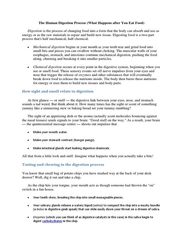 The Human Digestion Process | PDF | Human Digestive System | Digestion