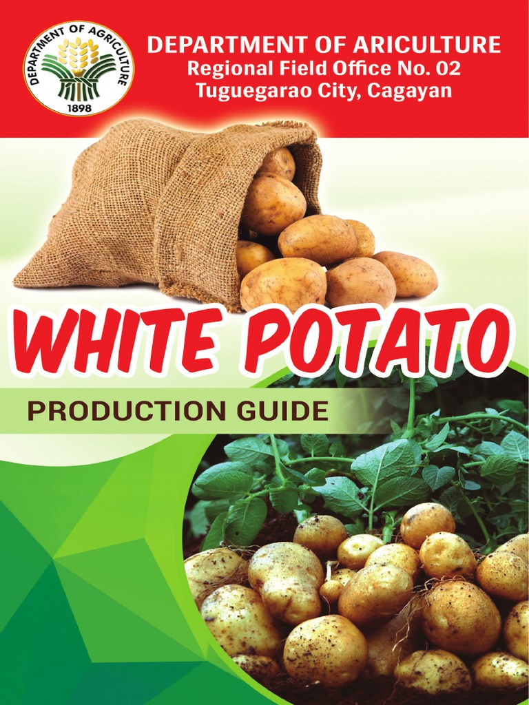 White Potato Farming Guide | PDF | Potato | Plough