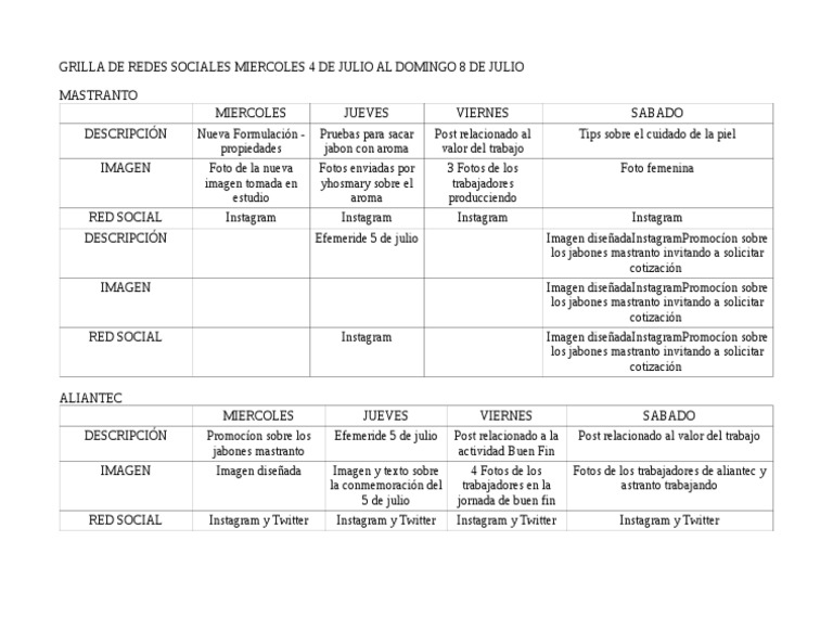 Grilla para Programar en RRSS | PDF | Informática y tecnología de la ...