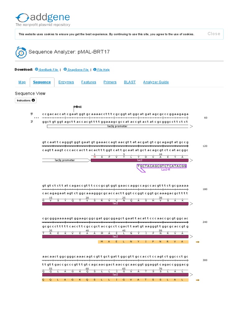 Sequence Analyzer: pMAL-BRT17 | PDF