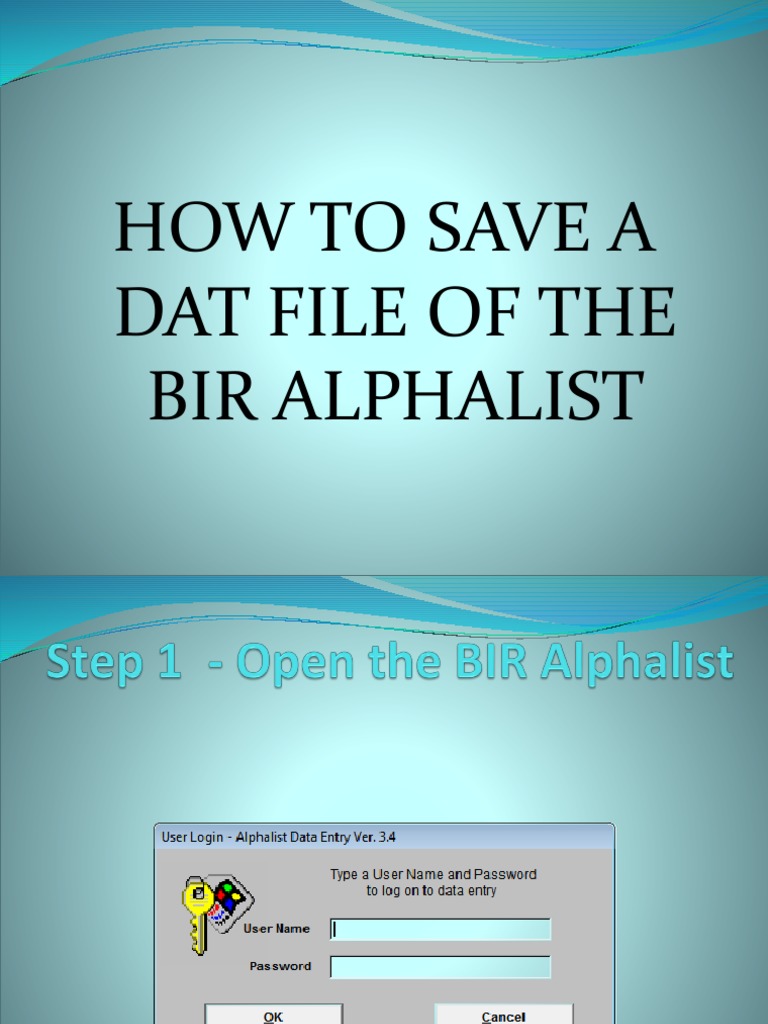 Saving BIR Alphalist DAT Files | PDF