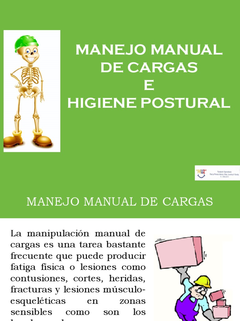 Manejo de Cargas e Higiene Postural | PDF | La columna vertebral | Dolor lumbar