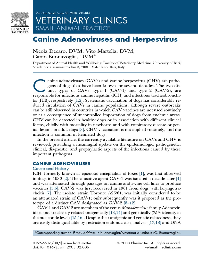 Canine Adenoviruses and Herpesvirus | PDF | Infection | Vaccines