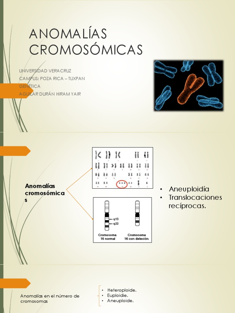 Anomalías Cromosomicas | PDF | Cromosoma | Nucleo celular