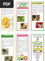 Partes de Un Folleto y Sus Características | PDF | Diseño | Diseño de ...