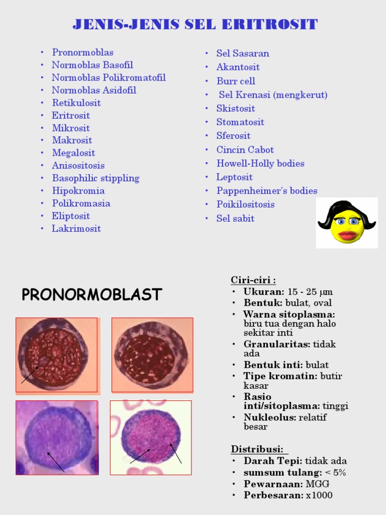 Dokumen - Tips - Seri Eritrosit Dan Kelainan Bentuk Eritrosit | PDF
