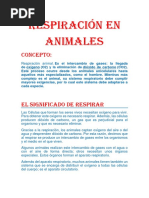 Phylum Arthropoda - Infografía | PDF | Insectos | Araña