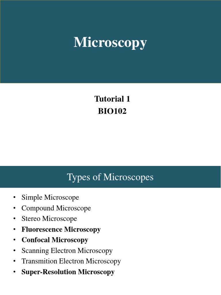 Tutorial 1 Micros | Download Free PDF | Fluorescence Microscope ...