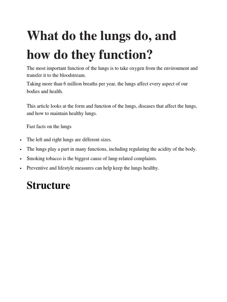 What Do The Lungs Do, and How Do They Function?: Structure | PDF | Respiratory Tract | Lung