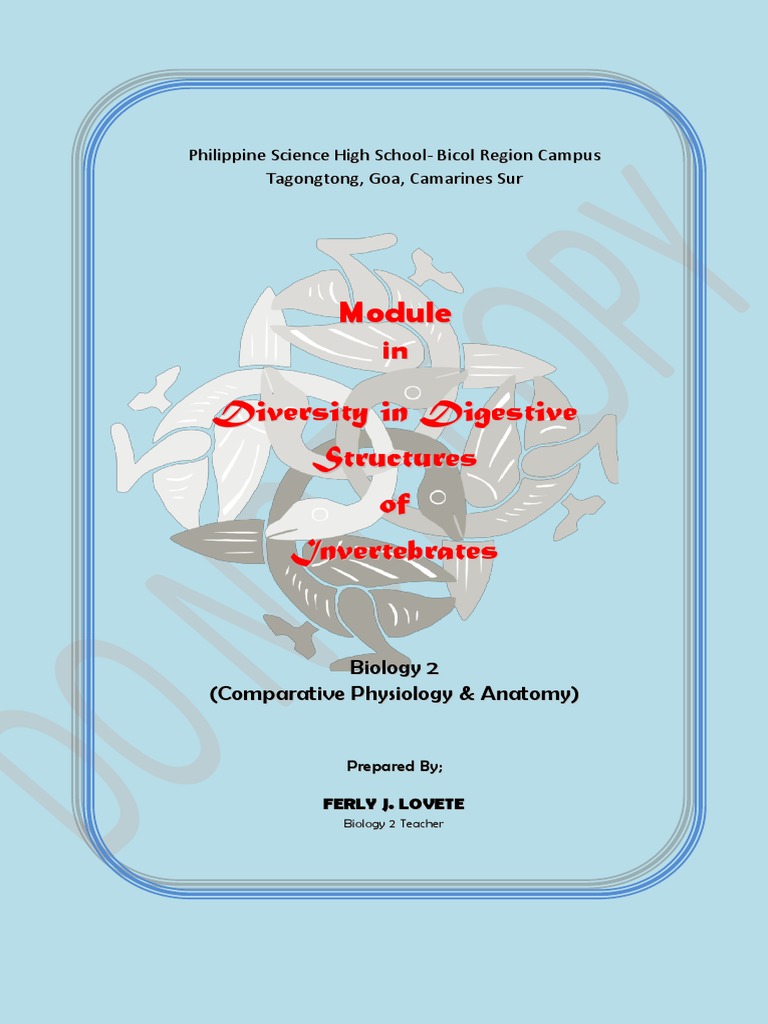 Invertebrate Digestive System2019 Module | PDF | Digestion | Stomach