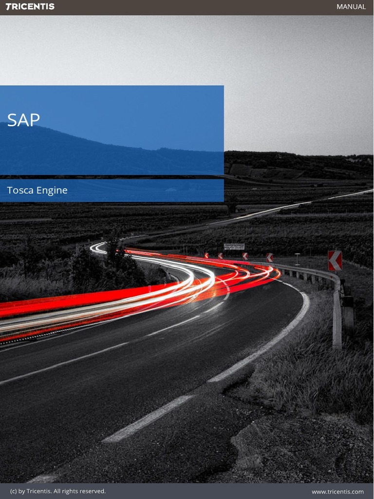 Tosca Sap Engine en | PDF | Regular Expression | Kernel (Operating System)