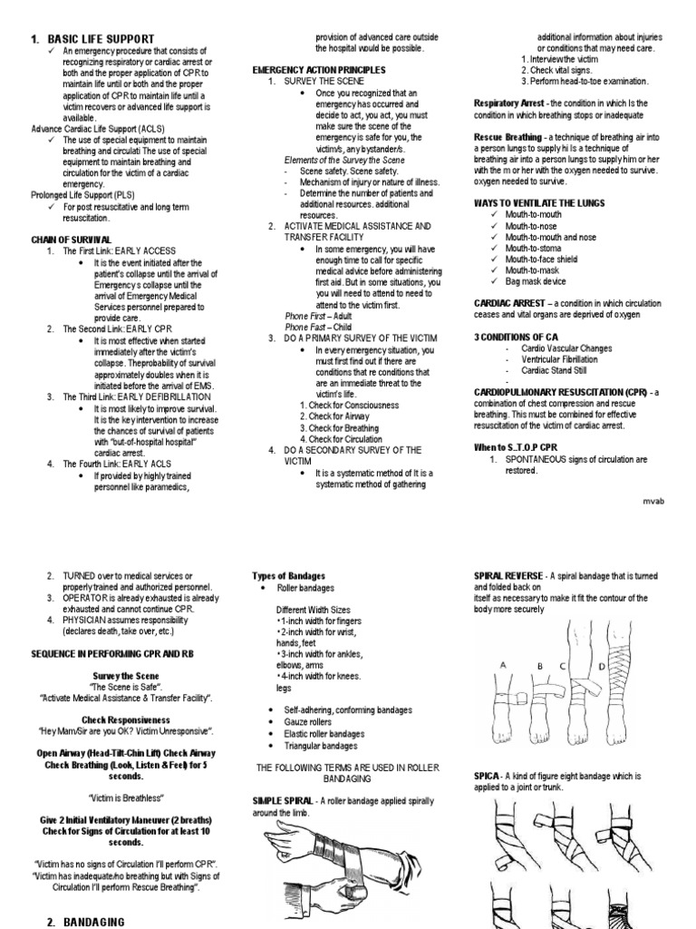 Basic Life Support: Elements of The Survey The Scene | PDF ...