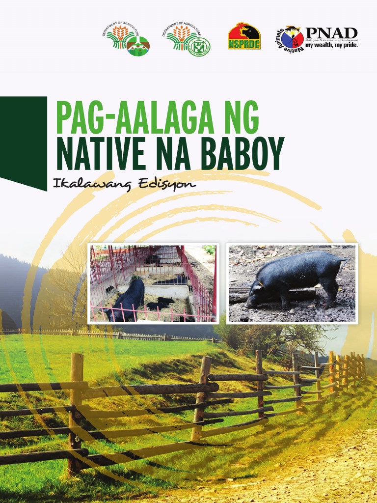 Pag-Aalaga NG Native Na Baboy | PDF