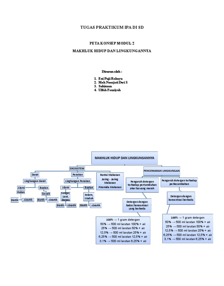 Peta Konsep Praktikum IPA Modul 2 | PDF
