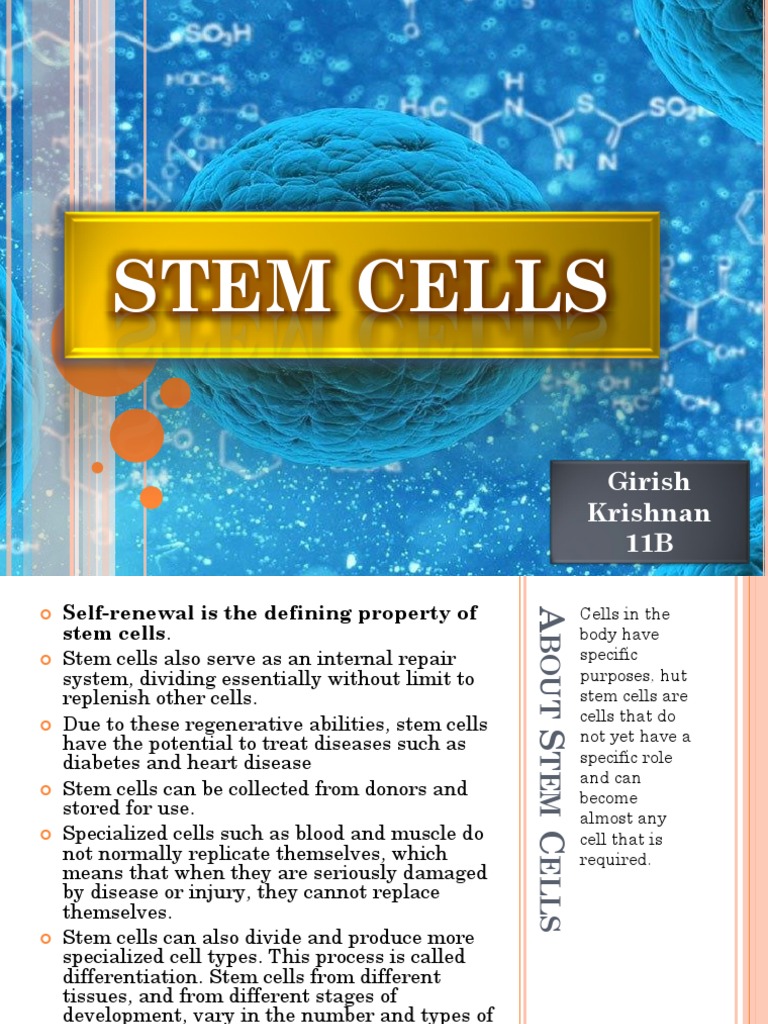 Stem Cells: Girish Krishnan 11B | PDF | Cell Potency | Embryonic Stem Cell