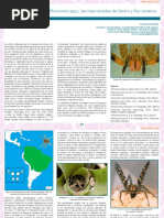 CAPÍTULO 17 - Prurigo Por Insectos (Cimiciasis) | PDF | Insecticida ...