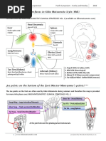 Dr. Zhu's Scalp Acupuncture Guide | PDF | Pain | Shoulder