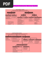 Steroid Potency Chart | PDF | Topical Medication | Drugs