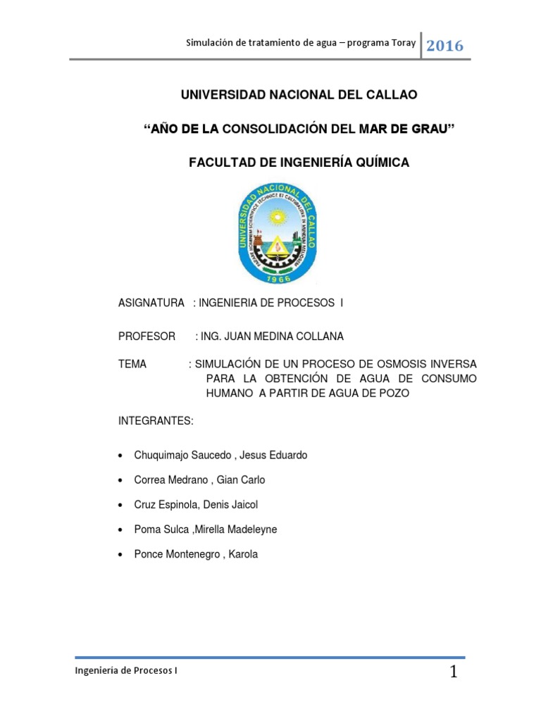 Simulacion Toray DS PDF | PDF | Software | Ósmosis