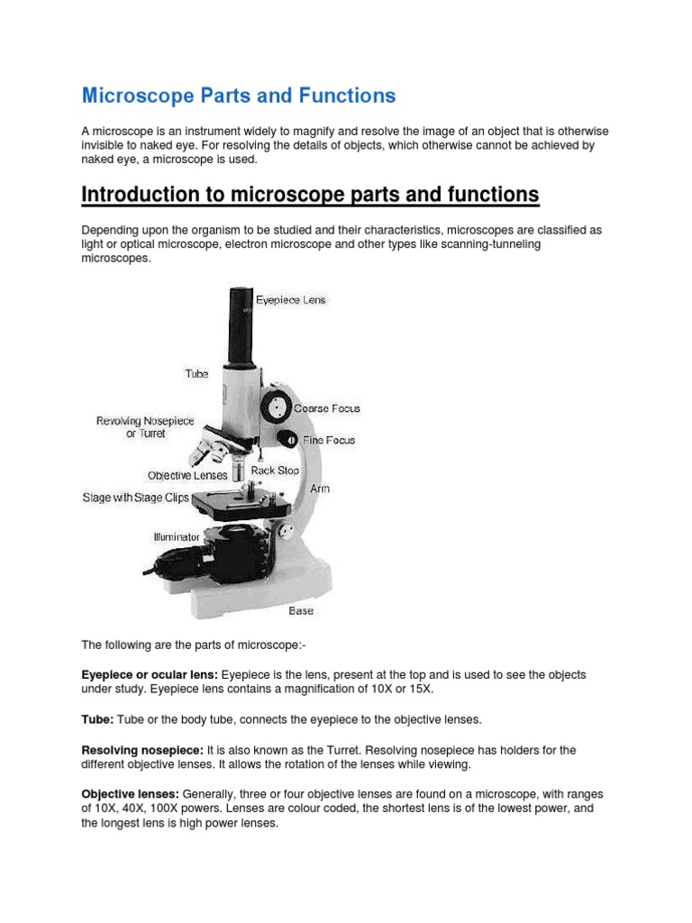 Microscope Parts and Functions | PDF