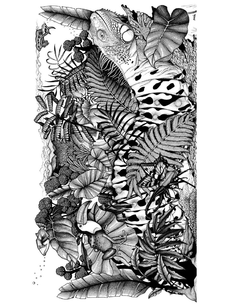 Mindfulness Coloring PDF Jungle Animals | PDF