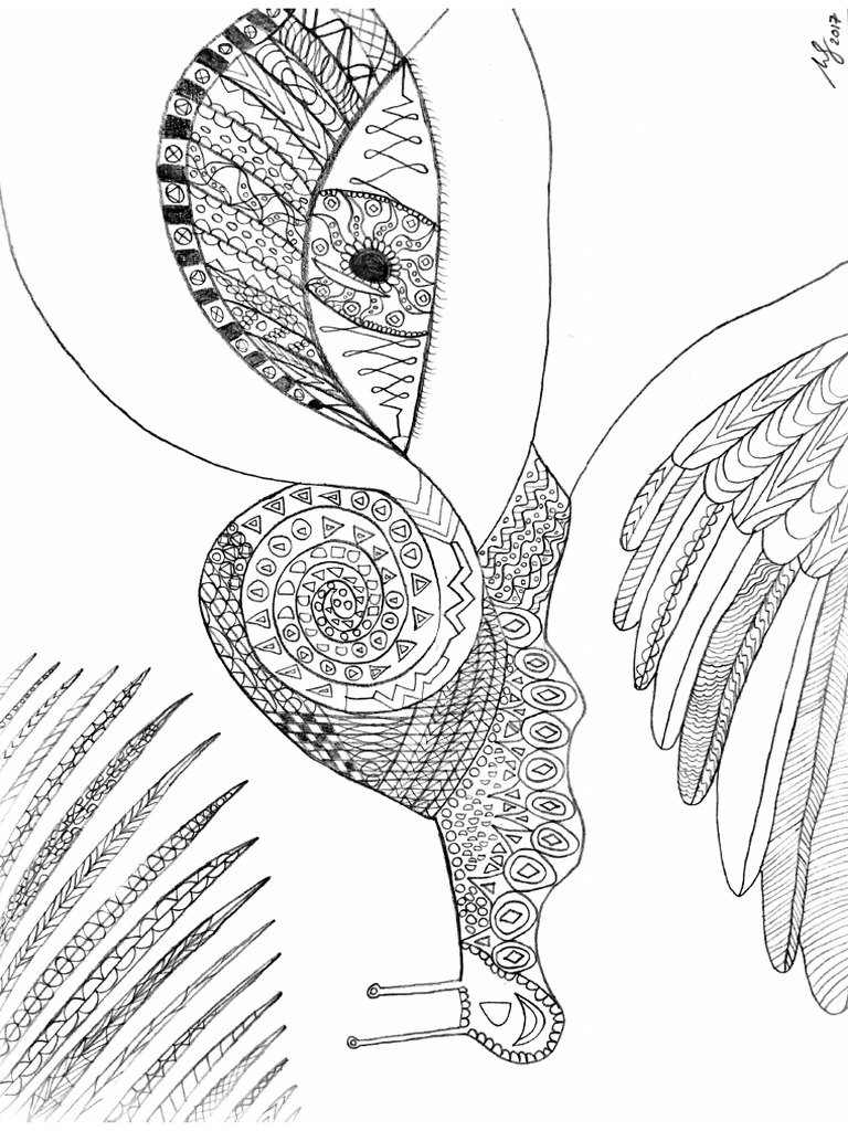 Mindfulness Colouring For Adults Psychedelic Seagull Snail Hand Drawn | PDF