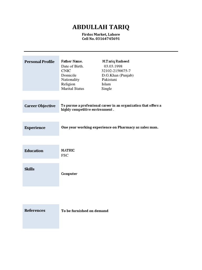 Classic CV Template | PDF