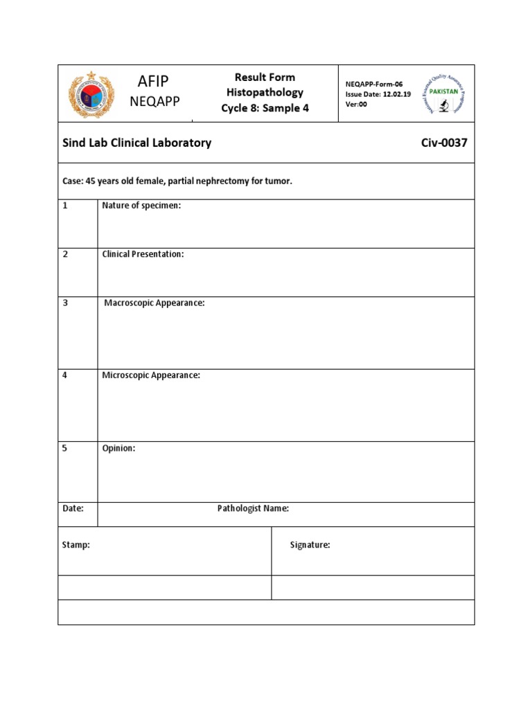 Histopathology Report: Nephrectomy Case | PDF | Histopathology | Life ...