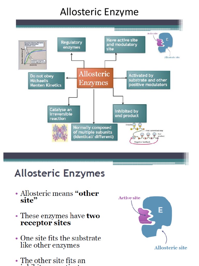 VKM Allosteric Enzyme | PDF