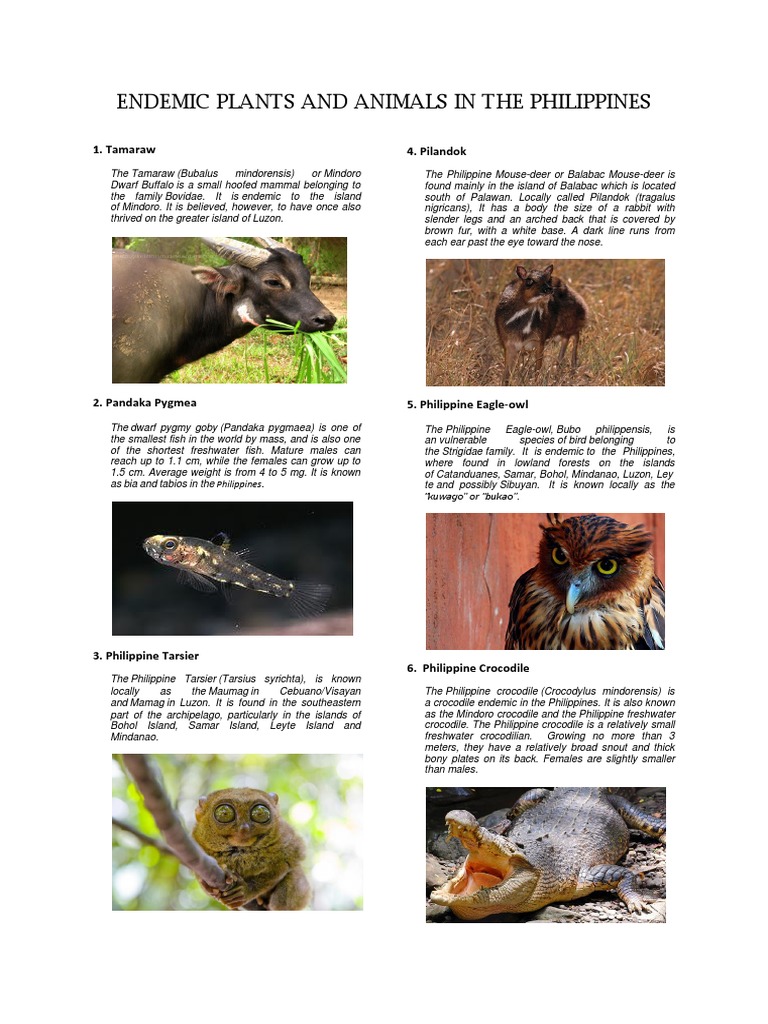 Endemic and Endangered Plants and Animal | PDF | Philippines | Plants