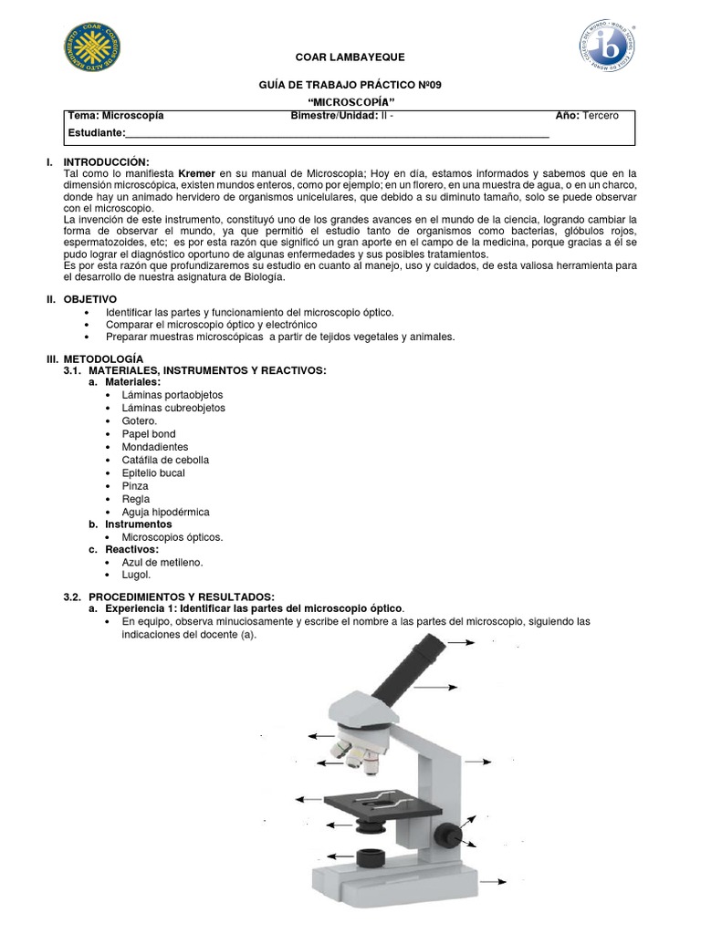 Microscopia Guia de Trabajo Practico | PDF | Microscopio | Óptica
