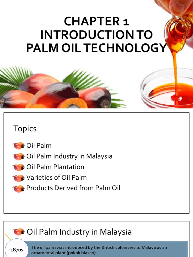 CHAPTER 1 Intro Palm Oil | PDF | Palm Oil | Fruit