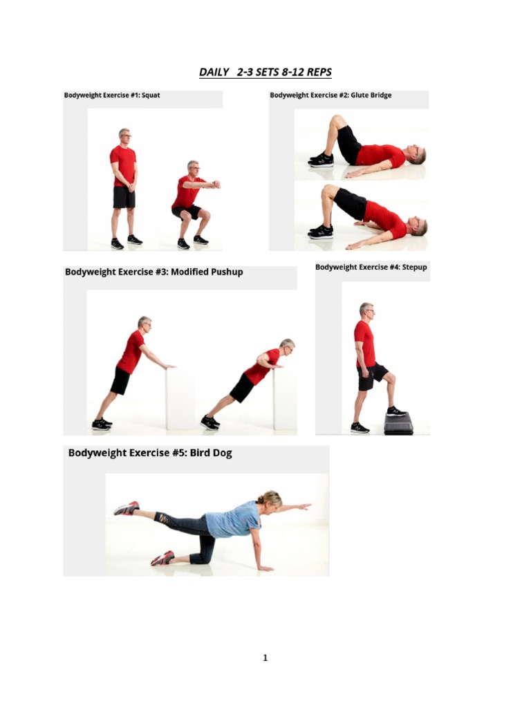 Daily Exercises | PDF