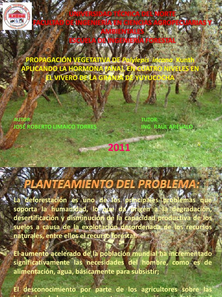 03 FOR 185 Presentacion Yagual PDF | PDF | Plantas | Botánica