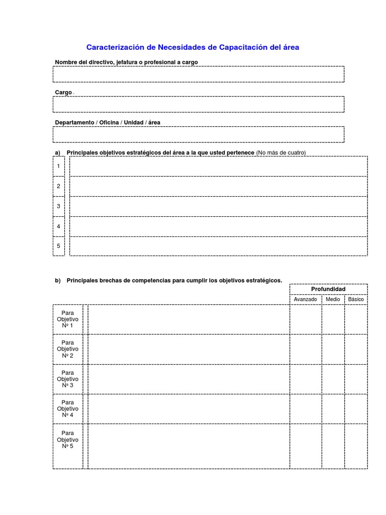 Formulario DNC 2019 | PDF