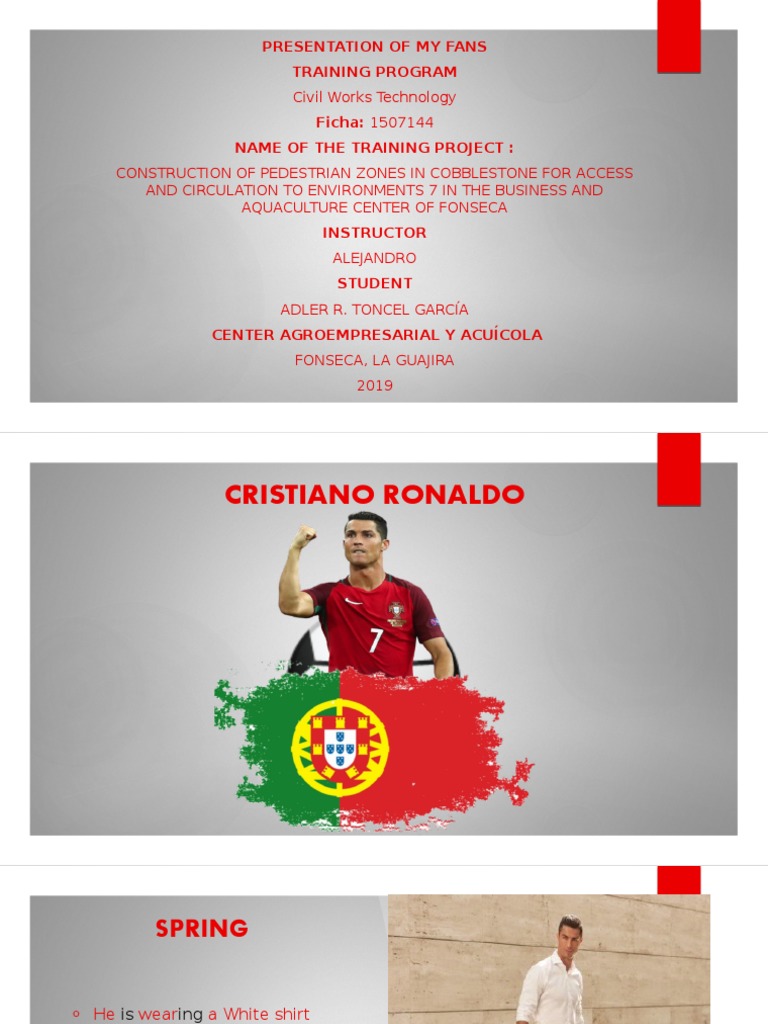 Presentation of My Fans Training Program | PDF