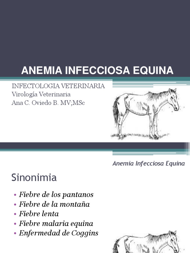 Anemia Infec Equi Oct 2014 | PDF | Virus | Inflamación