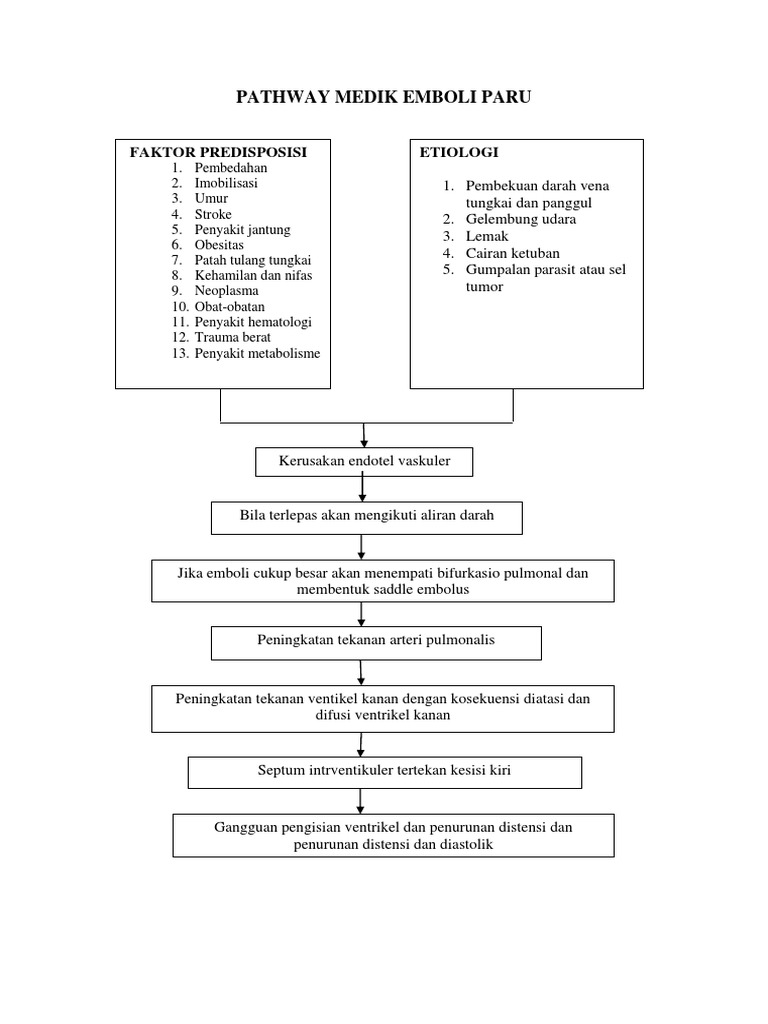 Pathway Medik Emboli Paru | PDF