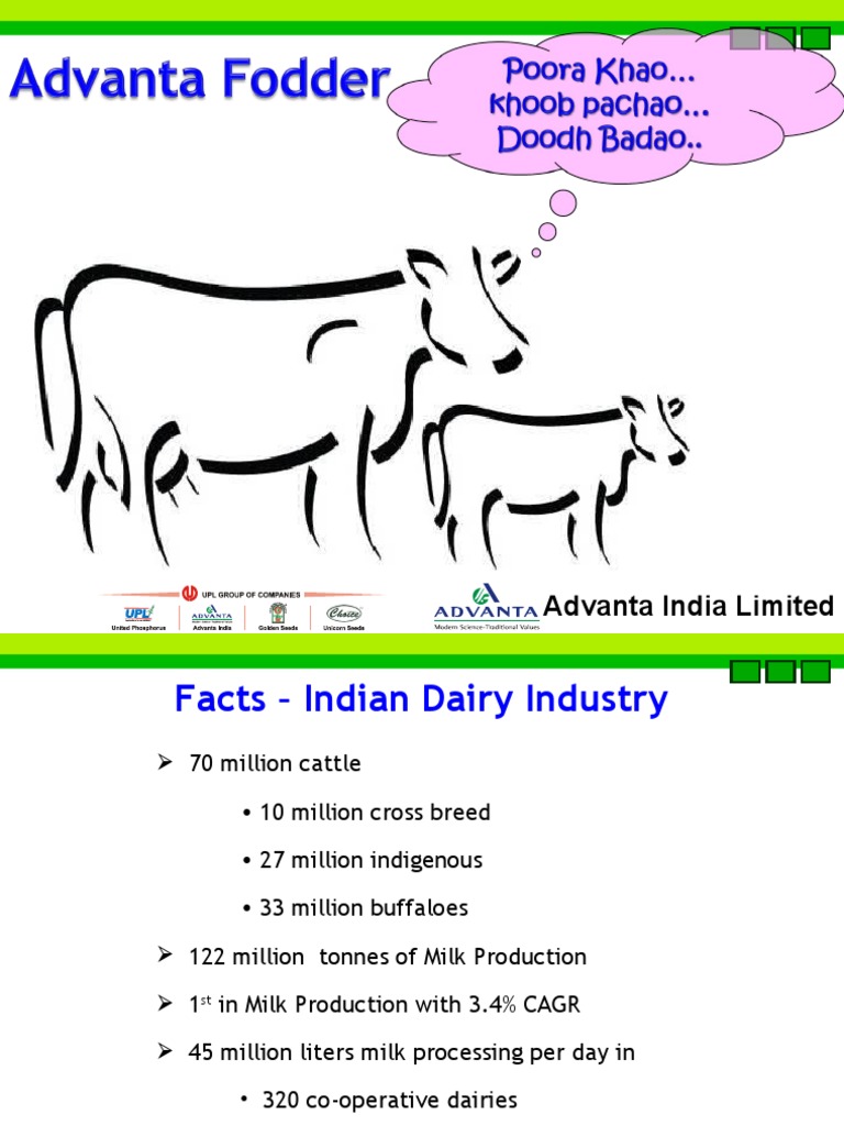 Advanta India Limited | PDF | Agriculture | Food And Drink