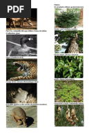 15 Oficios y 15 Profesiones | PDF